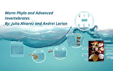 Worm Phyla & Advanced Invertebrates. by Julia Alvarez on Prezi