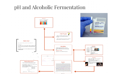 pH and Alcoholic Fermentation in Yeast by Austyn Orvis on Prezi