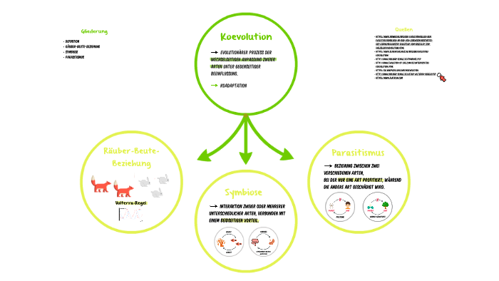 Koevolution by Nadjima Boru on Prezi