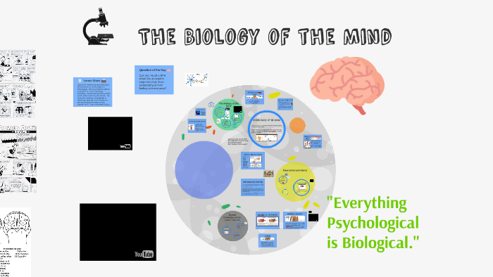 The Biology of the Mind by Chris Johnson on Prezi