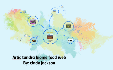 Artic tundra biome food web by Cynthia Jackson on Prezi