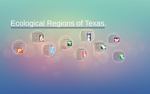 Ecological Regions of Texas. by Evelyn Luna on Prezi