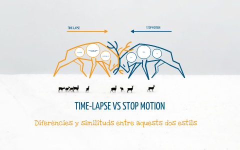 TIME - LAPSE VS STOP - MOTION by Kiku Llobet