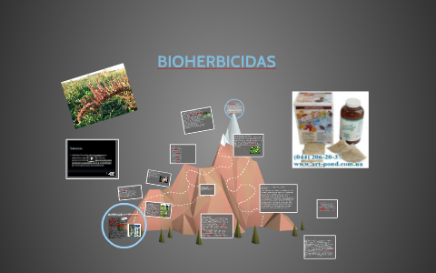 BIOHERBICIDAS by Janith Toloza on Prezi