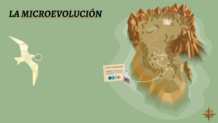 LA MICROEVOLUCIÓN by Lina Marcela on Prezi