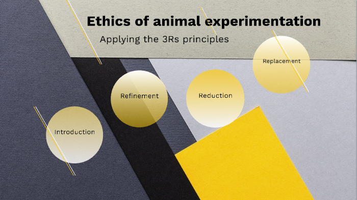 Ethics of animal experimentation: applying the 3Rs principles by Camila ...
