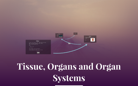 Tissue, Organs and Organ Systems by Jennifer Hesketh