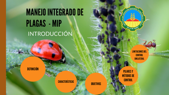 Introducción al MIP by Andres Chura on Prezi