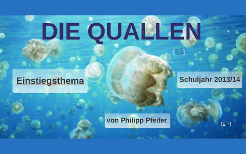 Die Quallen by on Prezi