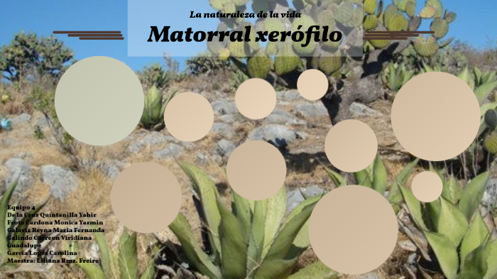 Ecosistema-Matorral by viridiana galindo on Prezi