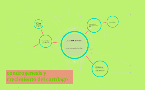 condrogénesis y crecimiento del cartílago by gretchen yesenia Sandoval ...