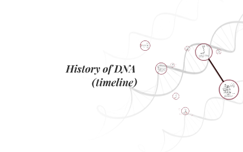 history of DNA (timeline) by nancy becerra on Prezi