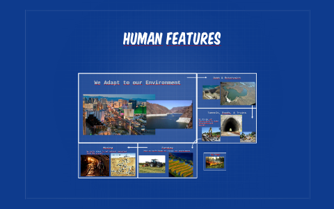 Human Features by Becky Roe on Prezi