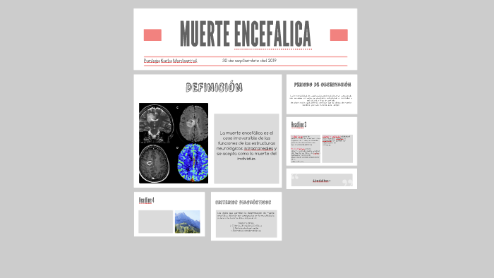MUERTE ENCEFALICA by Monserrath Pantoja on Prezi