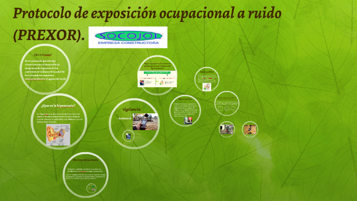 Protocolo de exposición ocupacional a ruido (PREXOR). by Wladimir Vidal ...