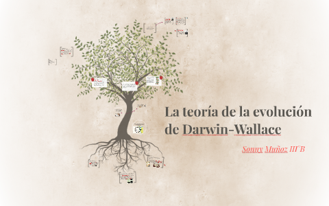 La teoría de la evolución de Darwin-Wallace by Sonny Muñoz Galaz on Prezi
