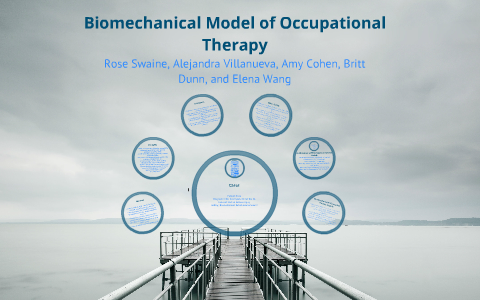 Biomechanical Model of Occupational Therapy by Rose Swaine on Prezi