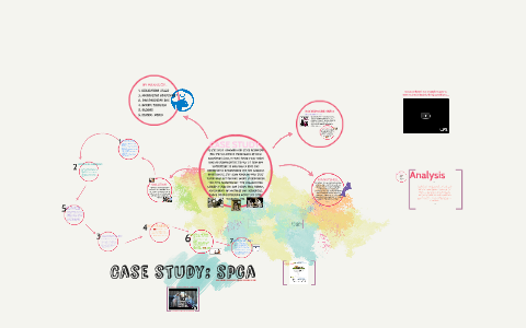 Case Study Spca By Molly Morrison On Prezi
