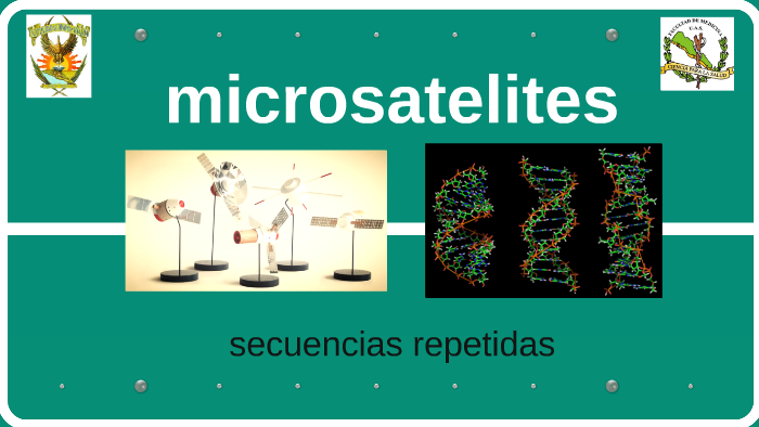 microsatelites by zahid armenta on Prezi