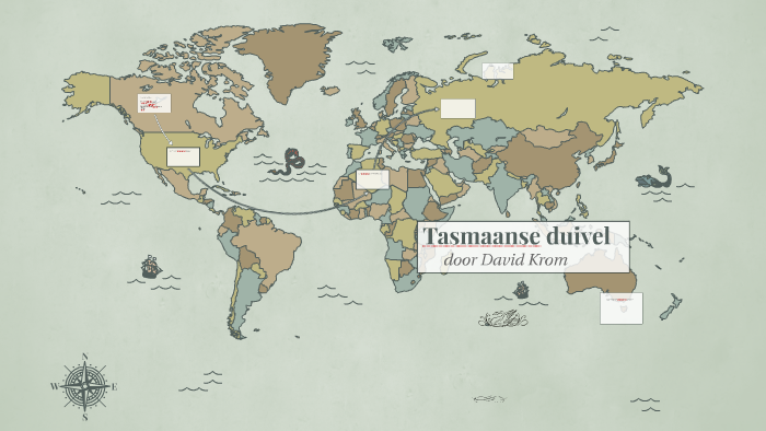 tasmaanse duivel by david krom on Prezi
