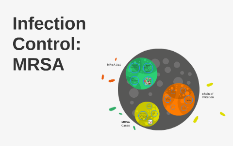 Infection Control: MRSA by Reaghan Wooster on Prezi