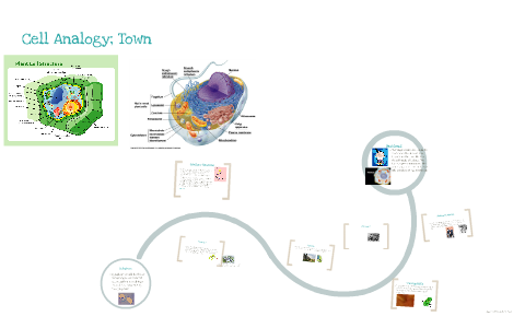 Cell Analogy; Town by Sarah McNeese on Prezi