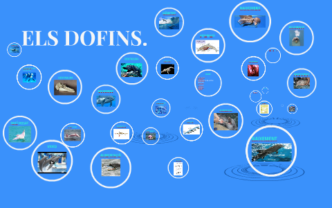 ELS DOFINS. by carla calvachelopez on Prezi