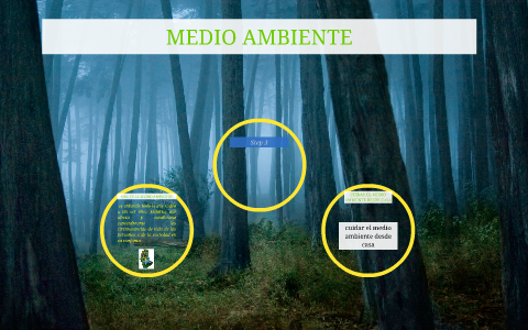 MEDIO AMBIENTE by luisa robledo