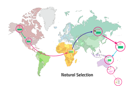 What factors affect the extinction or survival of a species by Izzy ...