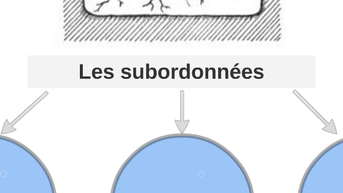 La subordonnée complétive by Patrick Loukianoff on Prezi