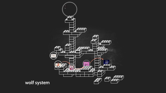 wolf Digestive system by chris nuttall