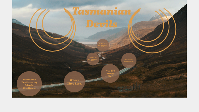 Tasmanian Devils by peter davidsson on Prezi