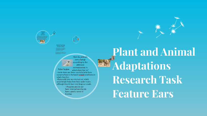 Plant and Animal Adaptations Research Task Feature Ears by Phoebe ...