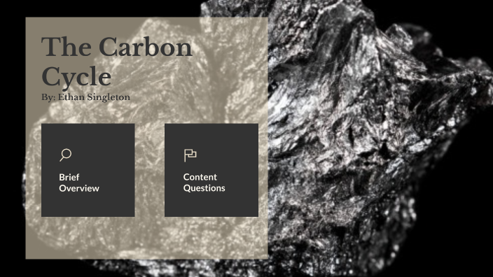 The Carbon Cycle by Ethan Singleton by Ethan Singleton on Prezi