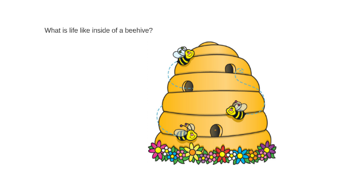 What is life like inside of a beehive? by Nicki Pinckney on Prezi