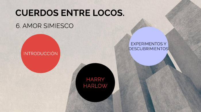 AMOR SIMIESCO by Sheila González Márquez on Prezi