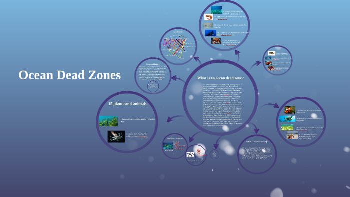 Ocean Dead Zones by Matthew Dillon on Prezi