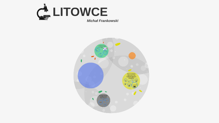 LITOWCE by Michał Frankowski on Prezi