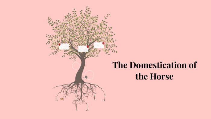 The Domestication of the Horse by Miki Henderson on Prezi