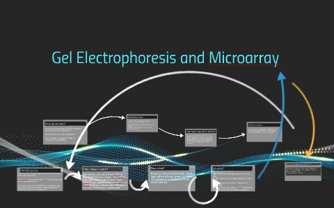 Gel Electrophoresis and Microarray by Peyton Scott on Prezi