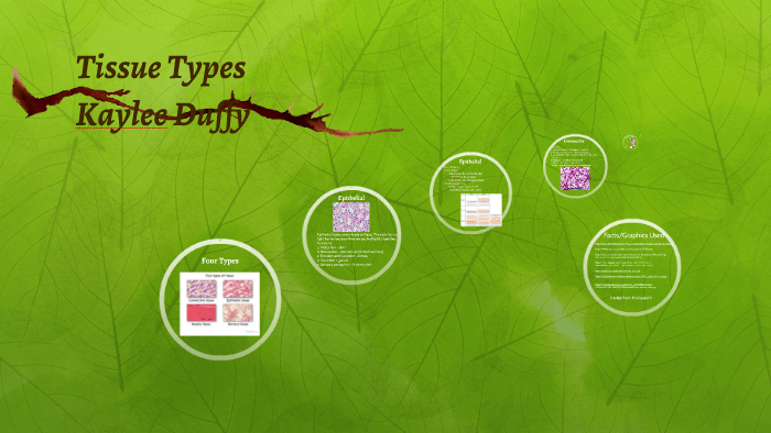 Tissue Types by kaylee duffy on Prezi