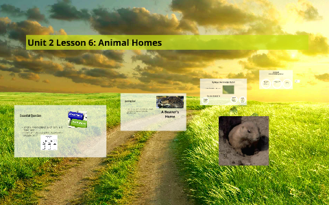 Unit 2 Lesson 6: Animal Homes by Diane Swenson on Prezi