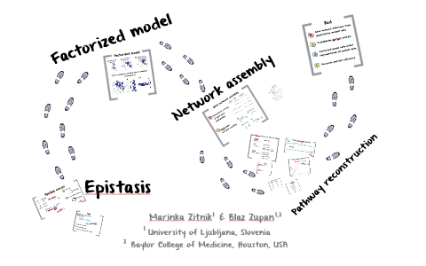 Gene Network Inference by Probabilistic Scoring of Relationships from a Factorized Model of ...