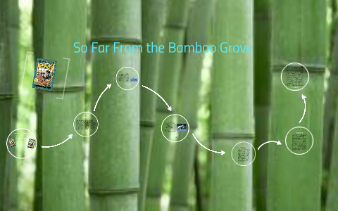 So Far From the Bamboo Grove by Bryan Zhang