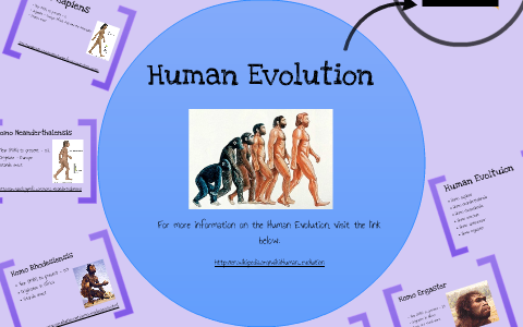 Brianna Sutherland Human Evolution by Brianna Sutherland on Prezi