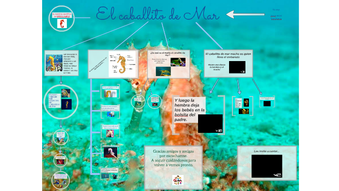 El caballito de Mar by Nancy Sepúlveda Díaz on Prezi