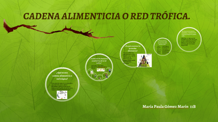 CADENA ALIMENTICIA Y RED TRÓFICA. by Paula Gómez on Prezi