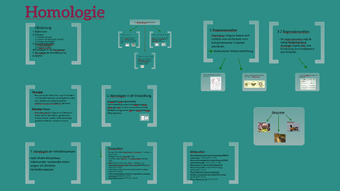 Homologe Organe by rani petersen on Prezi