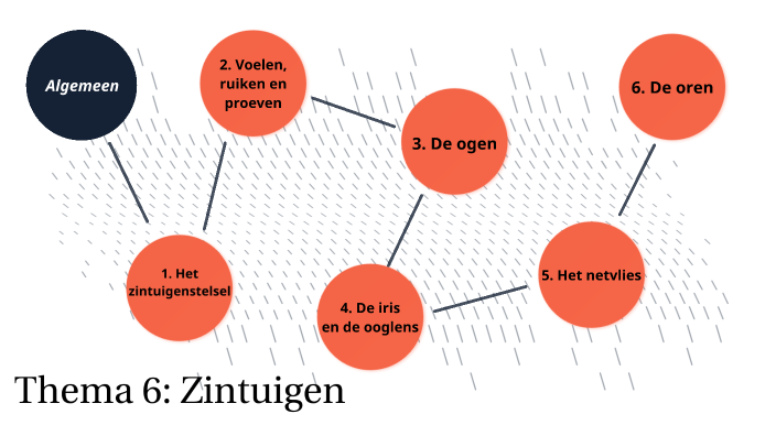 Thema 6 zintuigen by Celine Romme on Prezi
