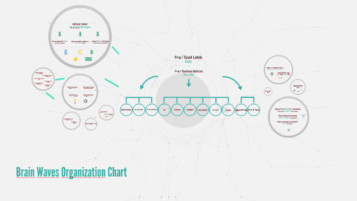 Brain Waves Organization Chart by Nada Bahaa on Prezi
